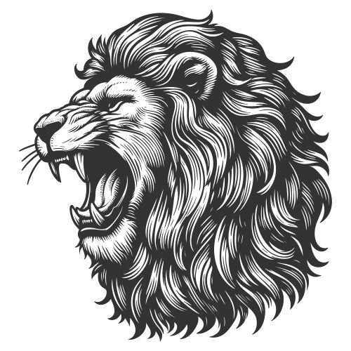 Lion Scratch Vector Images (over 760)