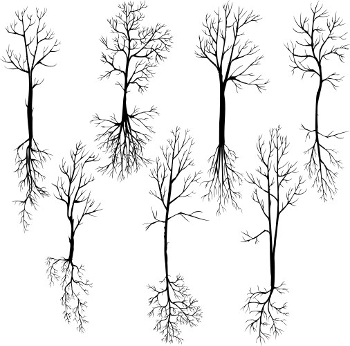 Tree Vector Images (over 1.5 million)