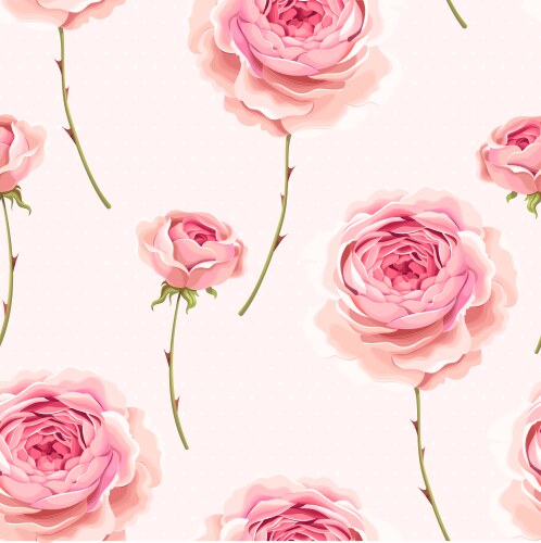 English roses seamless Royalty Free Vector Image