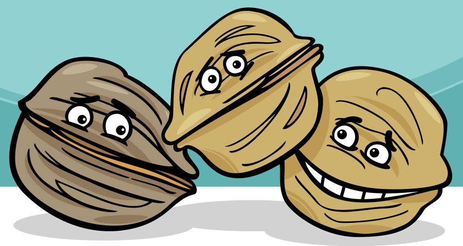Walnuts icon cartoon style Royalty Free Vector Image
