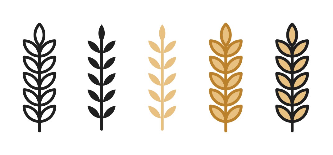 Wheat icon set barely and whole grain Royalty Free Vector