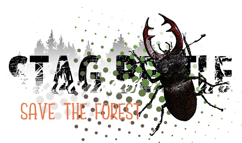 Cartoon stag beetle Royalty Free Vector Image - VectorStock