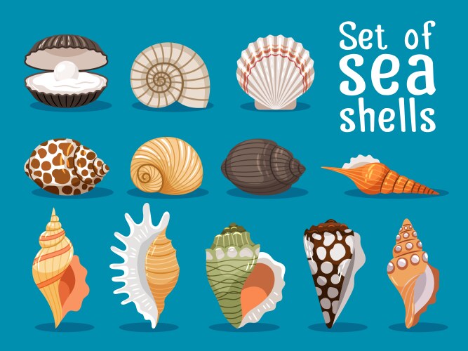 Beach sand background with sea shells Royalty Free Vector