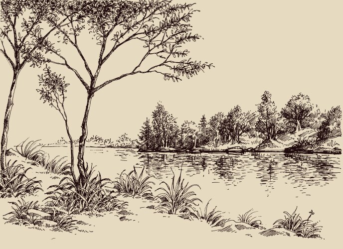 Hand Drawn Landscape Vector Images (over 37,000)