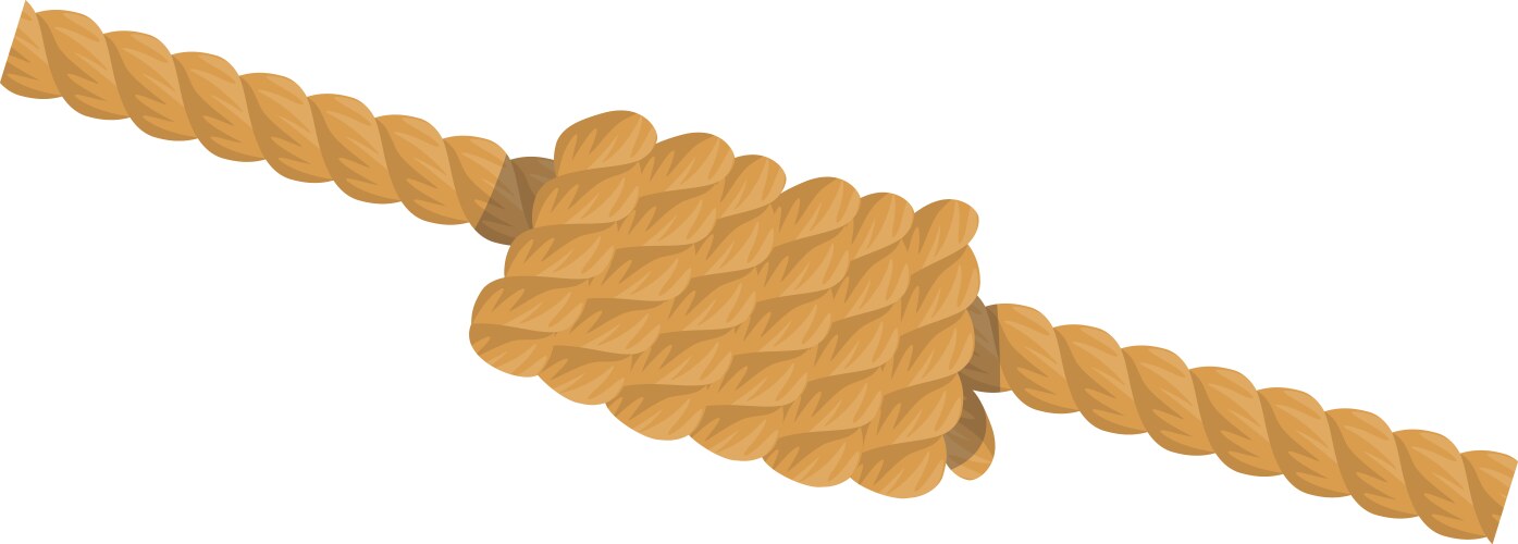 Knot Vector Images (over 64,000)