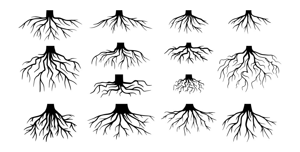 Tree Roots Black and White Vector Images (over 9,500)