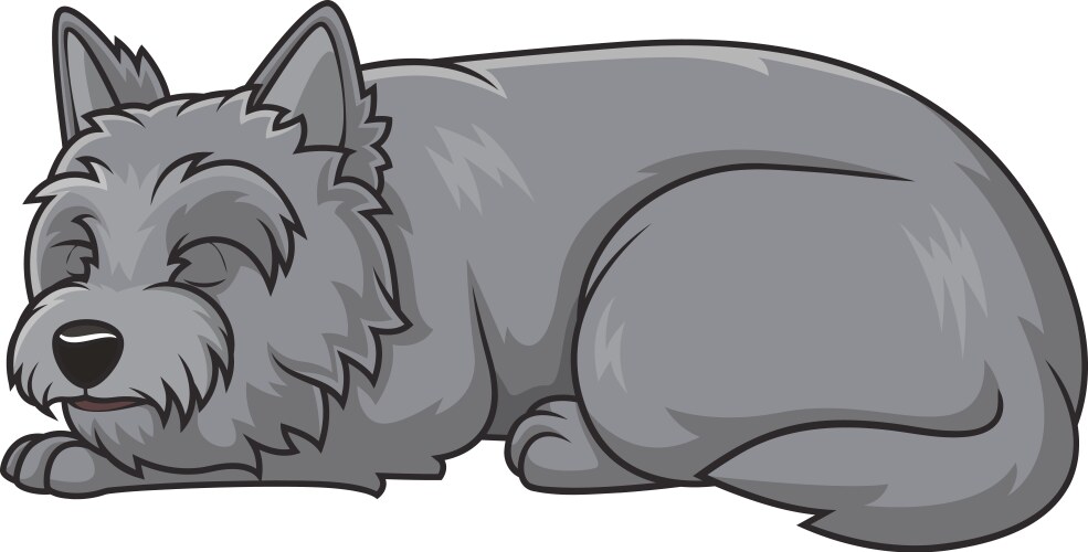 Gorgeous cairn terrier cartoon Royalty Free Vector Image