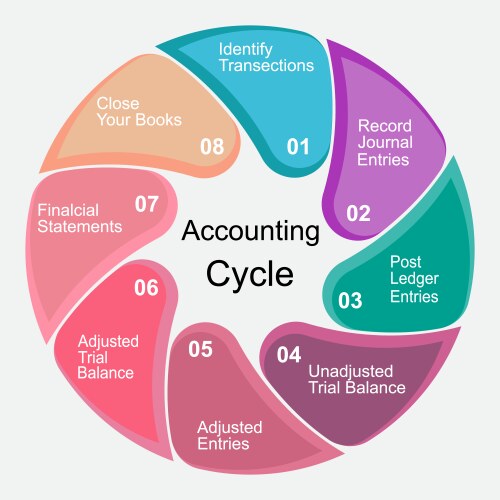 8 steps in the accounting cycle for financial Vector Image