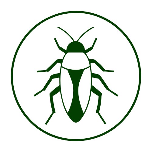 Cockroach Realistic Vector Images (over 410)