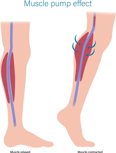 Pump Vector Images (over 100,000)