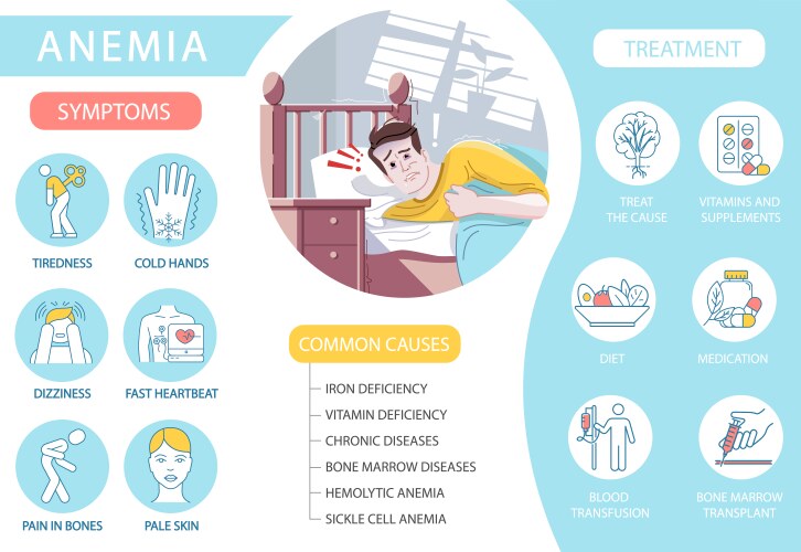 Anaemia Poster Vector Images (89)