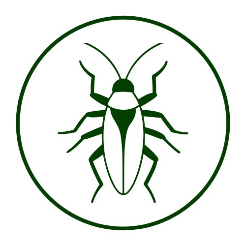 Cockroach Realistic Vector Images (over 410)