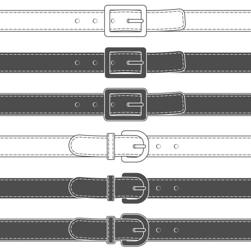 Clothing belt set of various colored belts Vector Image