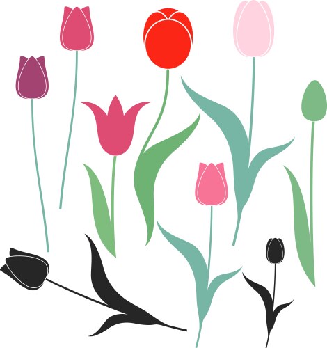 Tulip Vector Images (over 69,000)