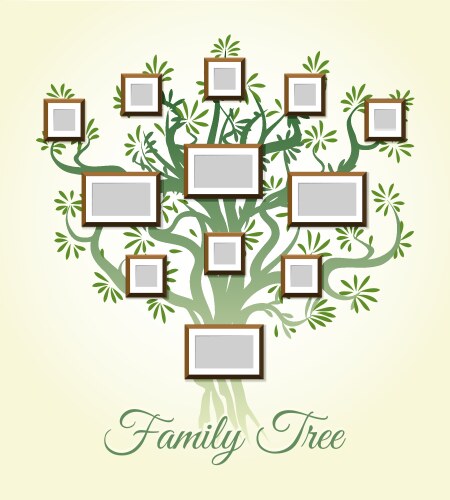 Family tree with photo frame isolated on white Vector Image
