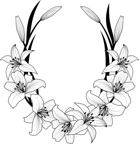 Blooming lily Royalty Free Vector Image - VectorStock