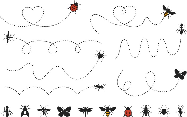 Timeline plane route flight paths with dashed Vector Image