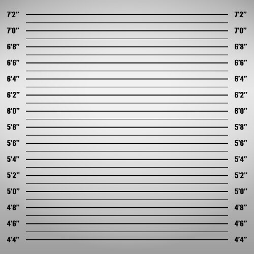 Police Mugshot Background Vector Images (over 340)