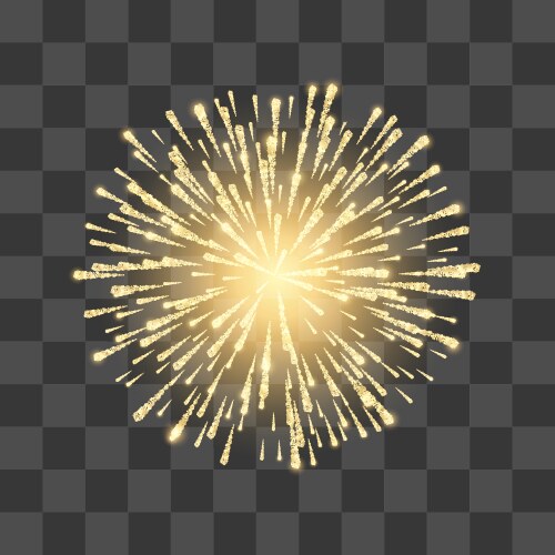 Festival firework colorful carnival fireworks Vector Image