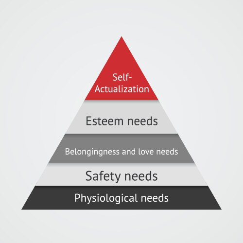 Pyramid infographic template Royalty Free Vector Image