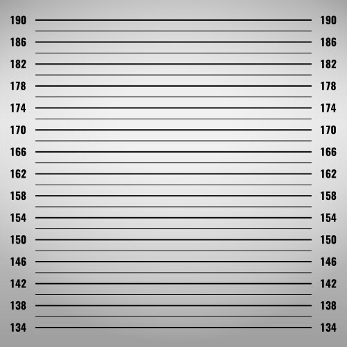 Police lineup or mugshot background Royalty Free Vector