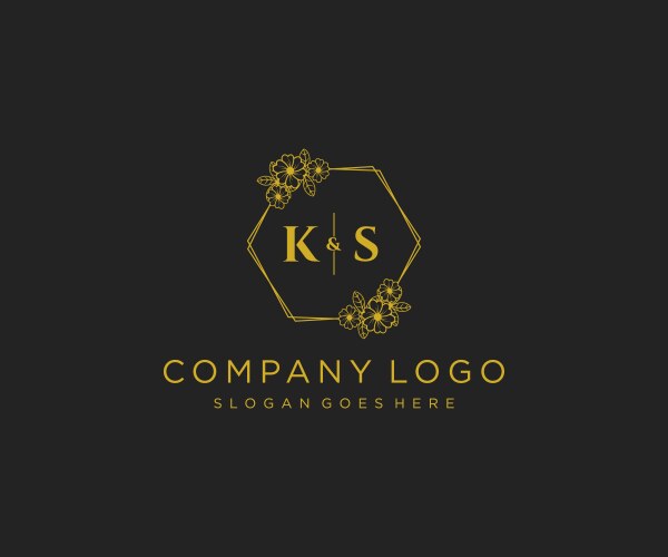 Ks Logo Vector Images (over 2,400)