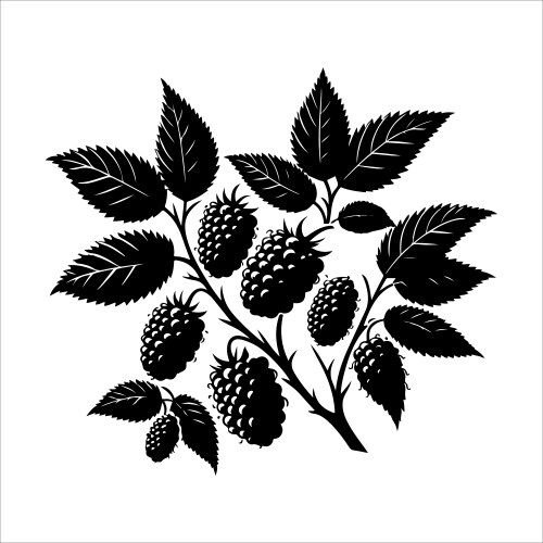 Mulberry Logo Vector Images (over 140)