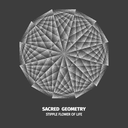 Phyllotaxis Vector Images (16)