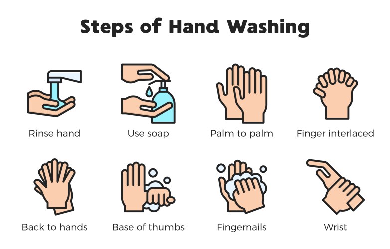 Steps to hand washing set Royalty Free Vector Image