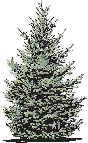 Pine Tree Black and White Vector Images (over 53,000)