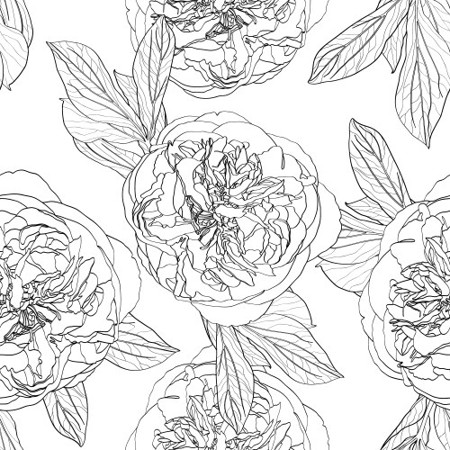 Beautiful peonies seamless pattern hand drawn Vector Image