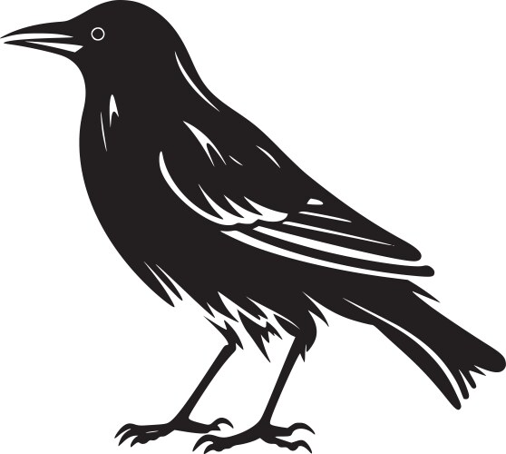 Caw Vector Images (over 430)