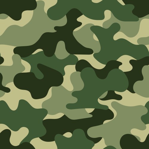 Military texture pattern Royalty Free Vector Image