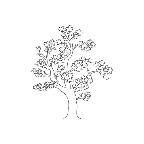 Cherry Tree Drawing Vector Images (over 4,800)