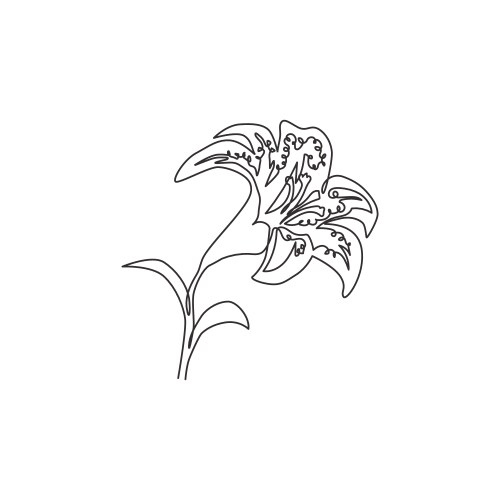 Drawing Flower Of Lily Valley Royalty Free Vector Image