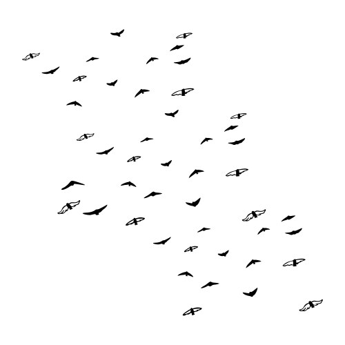 Birds Fly Vector Images (over 150,000)