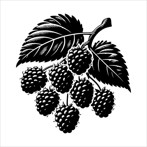 Mulberry Logo Vector Images (over 140)