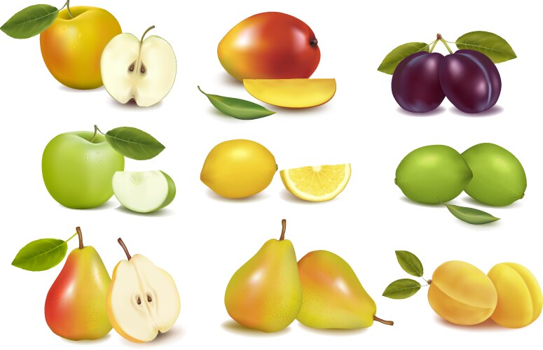 Sticker series of fruits Royalty Free Vector Image