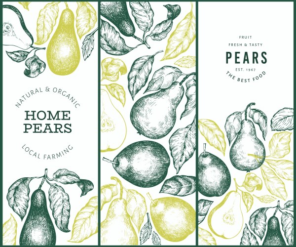 Pear design template hand drawn garden fruit Vector Image
