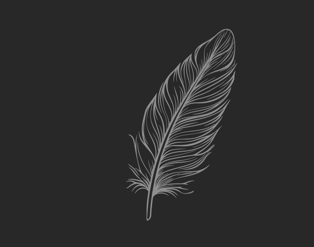 Single Black Feather Line Art Royalty Free Vector Image