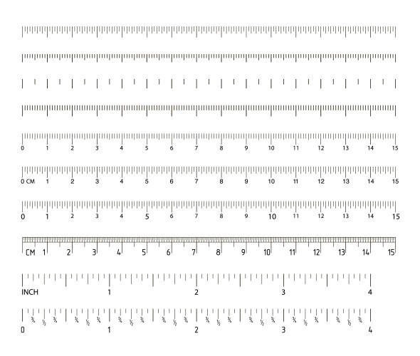 Metric imperial rulers centimeter and inch Vector Image