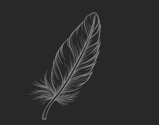 Single Black Feather Line Art Royalty Free Vector Image