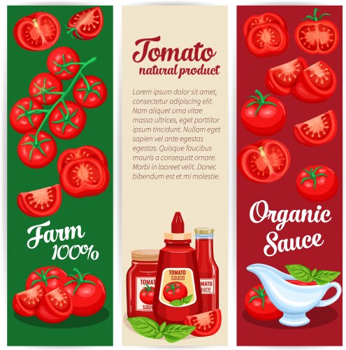 Tomato Royalty Free Vector Image - VectorStock