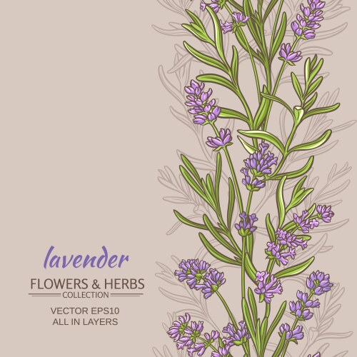 Lavender Vector Images (over 19,000)