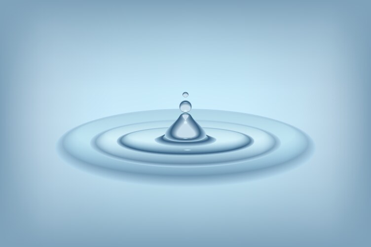 Realistic water drop 3d white background Vector Image