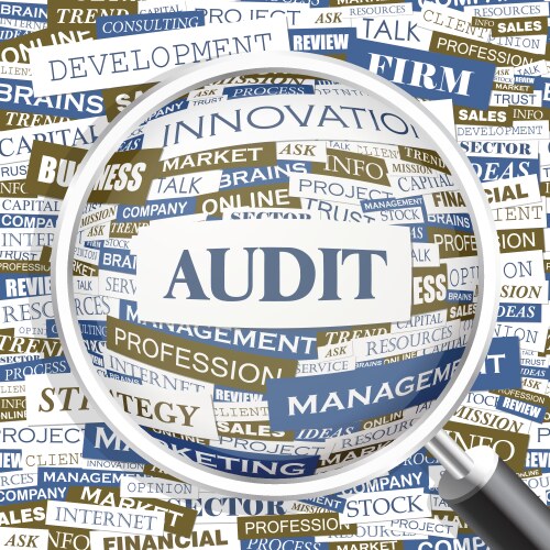 Internal Audit Vector Images (over 1,800)