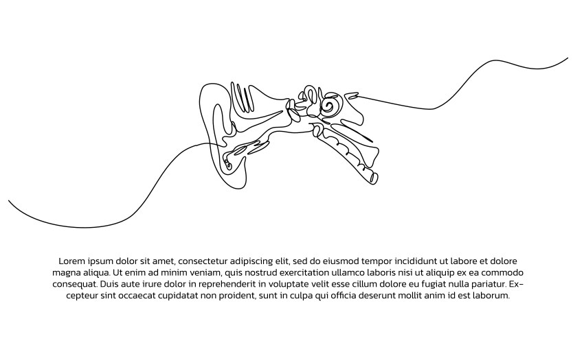 One line human ear sketch poster drawing Vector Image