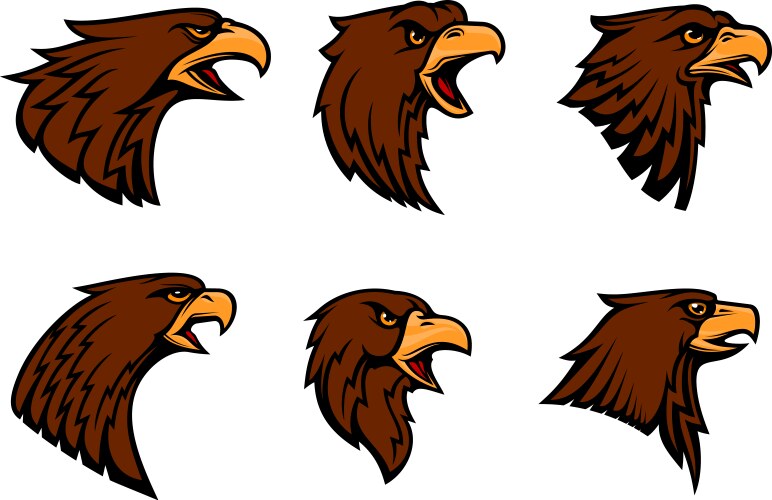 Hawk Vector Images (over 33,000)