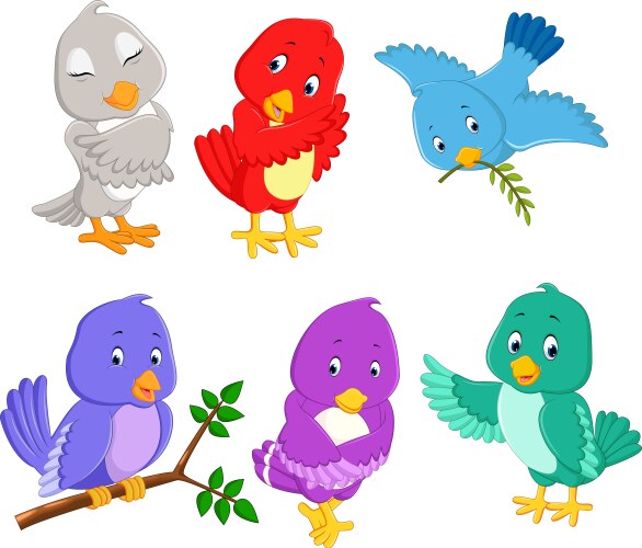 Collection of birds Royalty Free Vector Image - VectorStock