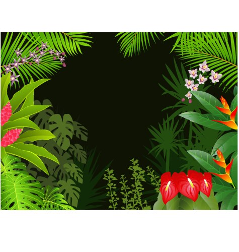 Tropical forest background Royalty Free Vector Image